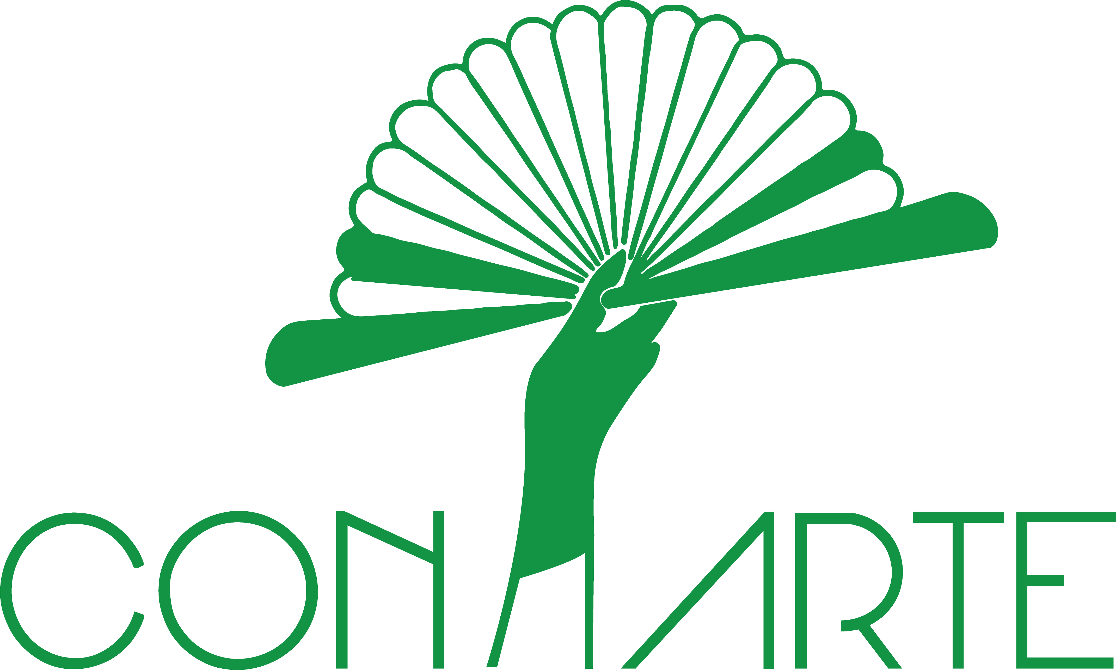 Contarte – Sitio web